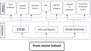 Understanding Competency-Based Education in Kenya: Pathways, Placement ...